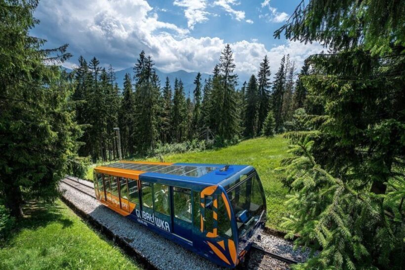 From Krakow: Zakopane Day Tour with Tasting & Funicular Ride - Key Points