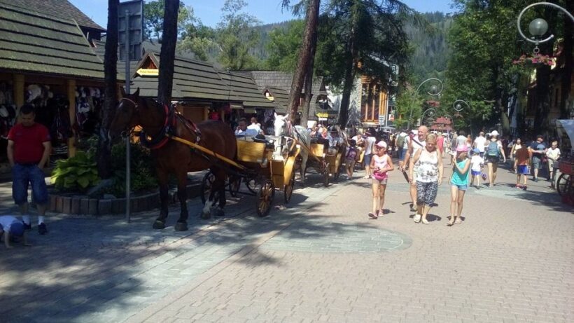From Krakow: Zakopane & Hot Thermal Springs Private Tour - Who Should Consider This Tour?