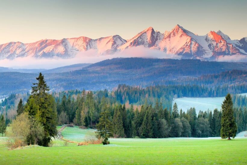 From Krakow: Zakopane & Tatra Mountains Tour - Authentic Experiences and Traveler Feedback