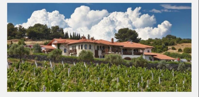 From Kuadas: Private Ephesus and Wine Tasting Tour - The Wine Tasting Experience