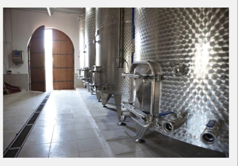 From Kuadas: Private Ephesus and Wine Tasting Tour - Practical Tips for Travelers