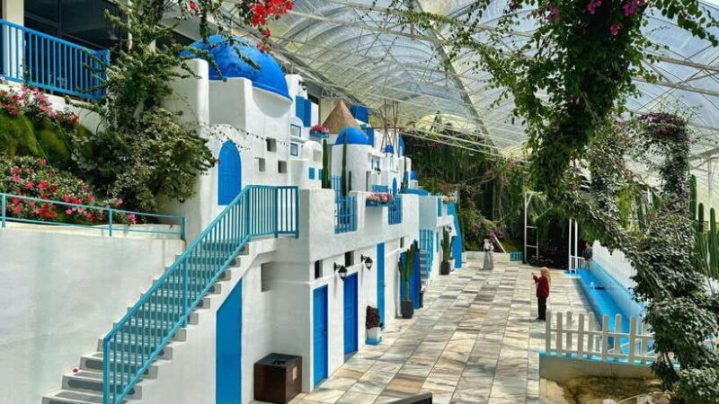 From Kuala Lumpur: Cameron Highlands Day Tour with Lunch - Summing Up