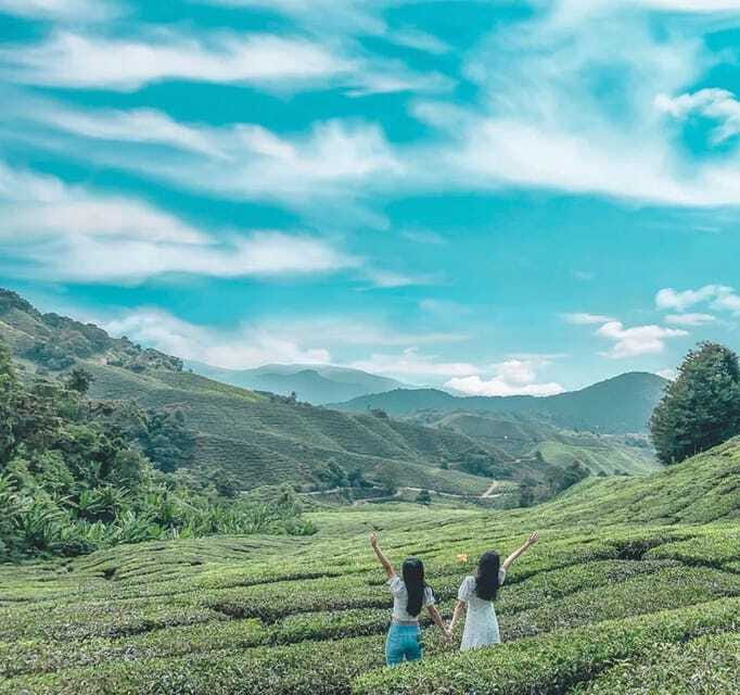 From Kuala Lumpur: Cameron Highlands Day Trip with Transfers - Why Choose This Tour? Analyzing the Value