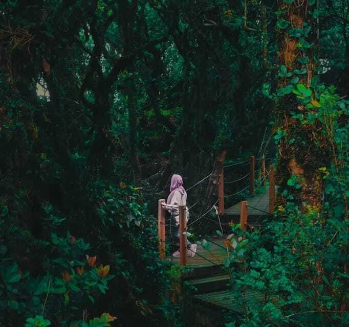 From Kuala Lumpur: Cameron Highlands Day Trip with Transfers - FAQs