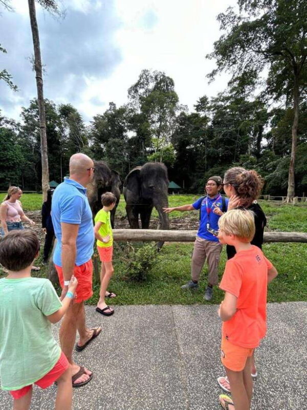 From Kuala Lumpur: Elephant Sanctuary Guided Tour - Key Points
