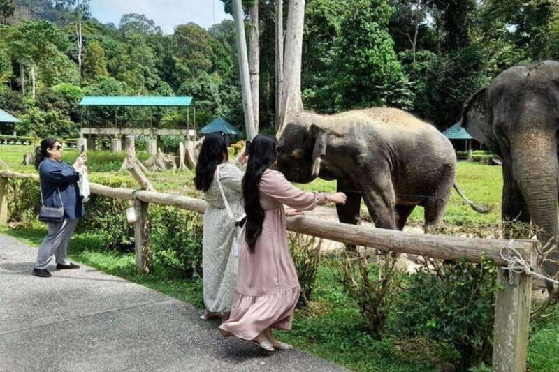 From Kuala Lumpur: Kuala Gandah & Batu Caves Day Trip - Introduction