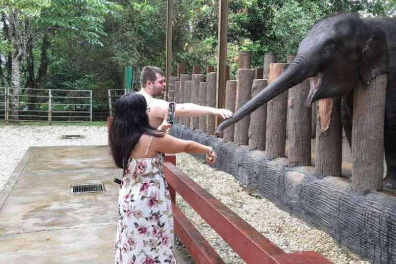 From Kuala Lumpur: Kuala Gandah & Batu Caves Day Trip - What the Tour Includes