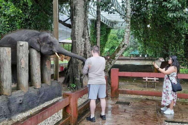 From Kuala Lumpur: Kuala Gandah & Batu Caves Day Trip - The Experience at Batu Caves