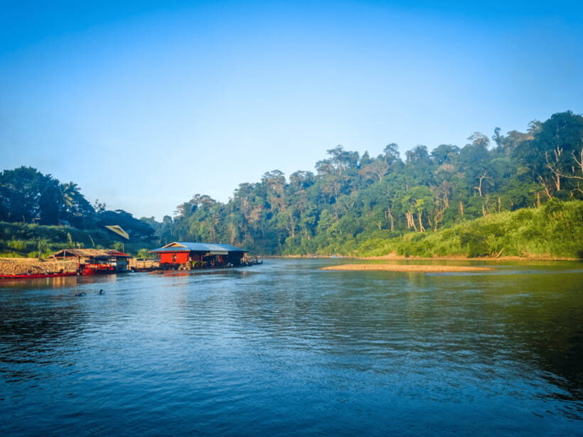 From Kuala Lumpur: Taman Negara National Park Private Tour - Who Will Love This Tour?