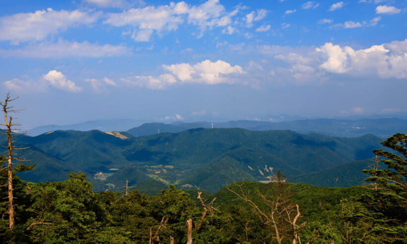 From Kuala Lumpur: Taman Negara National Park Private Tour - FAQ