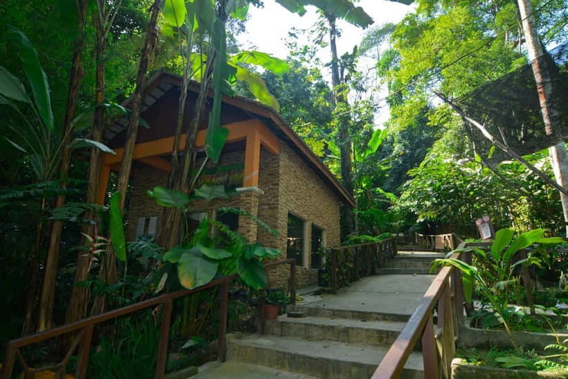 From Kuala Lumpur: Taman Negara Private Tour - Final Thoughts