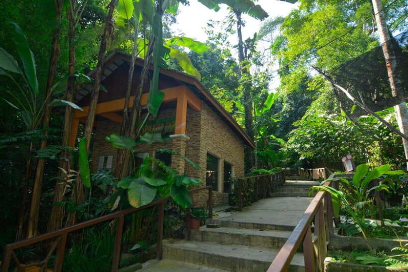 From Kuala Lumpur: Taman Negara Private Tour - What’s Included and What’s Not