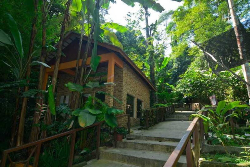 From Kuala Lumpur: Taman Negara Private Tour - Frequently Asked Questions