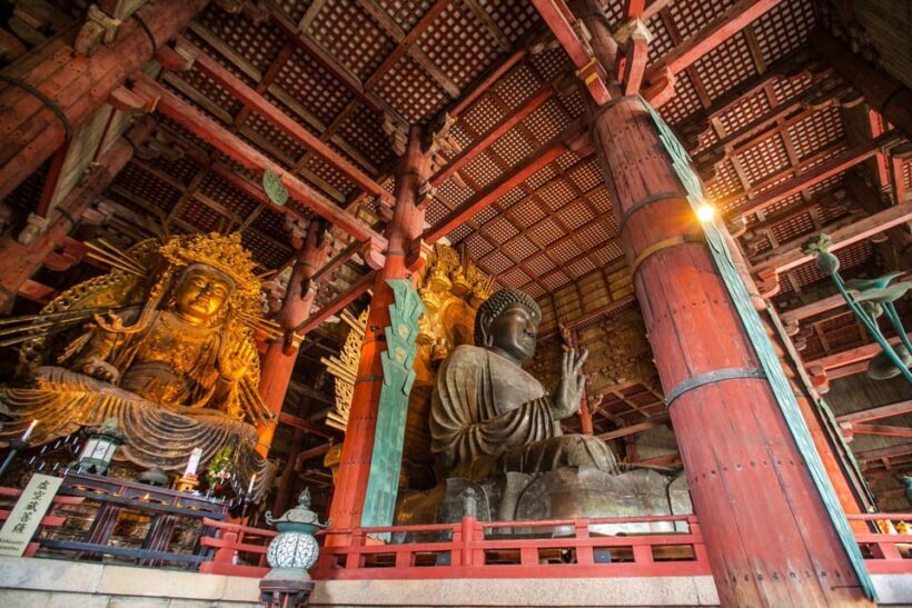 From Kyoto: Nara Guided Half Day Bus Tour - The Itinerary: What You Can Expect