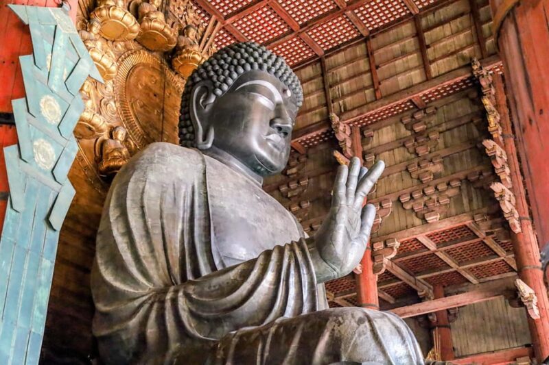 From Kyoto: Nara Guided Morning Tour - Key Points