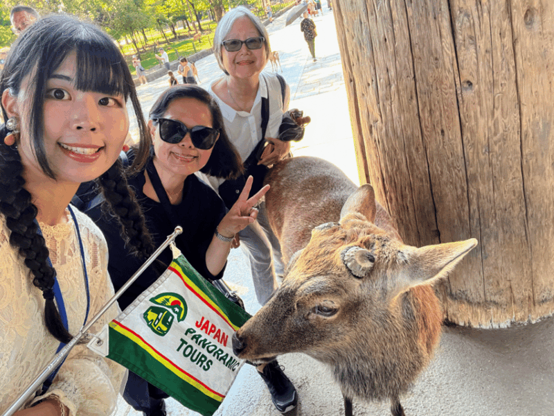 From Kyoto: Nara Guided Morning Tour - What to Expect on the Tour