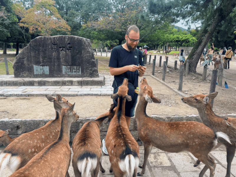From Kyoto: Nara Guided Morning Tour - Preparing for the Tour