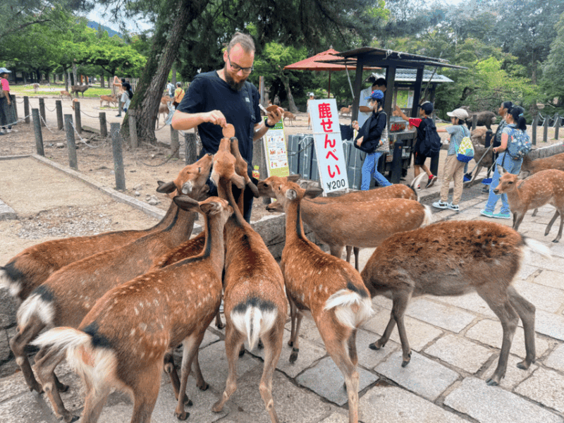 From Kyoto: Nara Guided Morning Tour - Previous Traveler Experiences