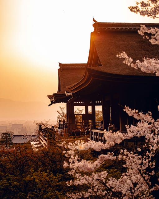 FROM Kyoto/Nara: Highlight Customized Trip With Hotel Pickup - Additional Information