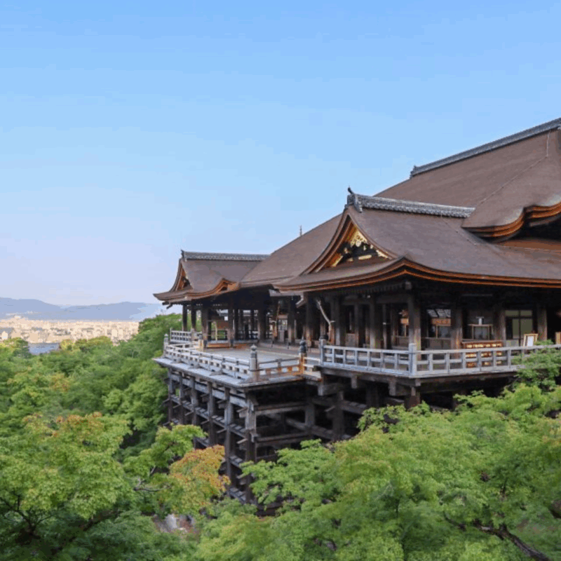 From Kyoto & Osaka: Kyoto Top Attractions Private Day Tour - Frequently Asked Questions