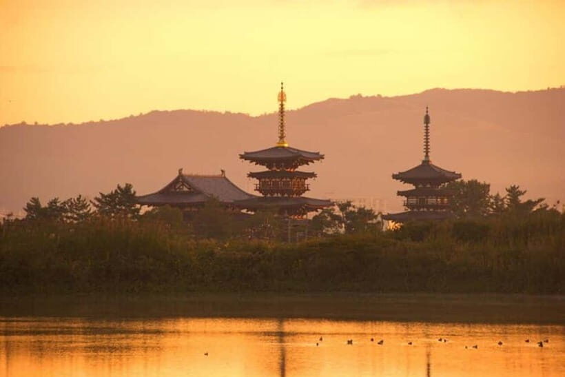 From Kyoto/Osaka: Nara Private Tour with Guide and Vehicle - Starting in Kyoto or Osaka—Ease and Comfort
