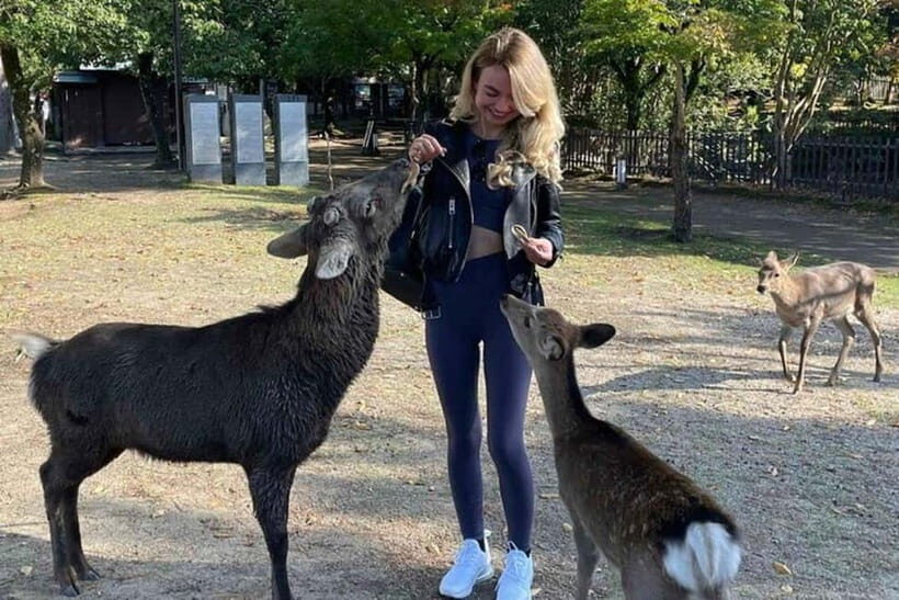 From Kyoto/Osaka: Nara Private Tour with Guide and Vehicle - The Flexibility of Choosing Your Sites