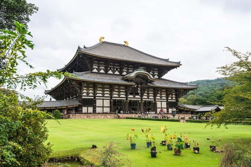 From Kyoto/Osaka: Nara Private Tour with Guide and Vehicle - Practicalities and Value