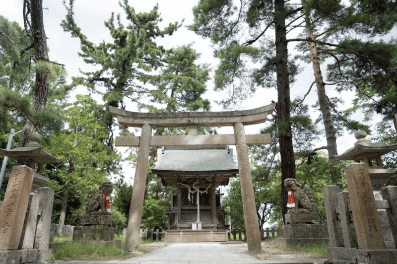 From Kyoto: Private Day Trip to Hidden Amanohashidate & Ine - Strolling the Bridge to Heaven