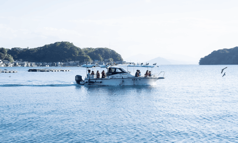 From Kyoto: Private Day Trip to Hidden Amanohashidate & Ine - Taking in Picturesque Harbor Town