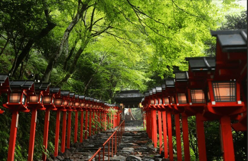 From Kyoto:Day Tour to Kifune Shrine+Kuruma+Sanzen-in Temple - Key Points