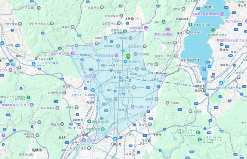 From Kyoto:Day Tour to Kifune Shrine+Kuruma+Sanzen-in Temple - Practical Considerations and What to Expect