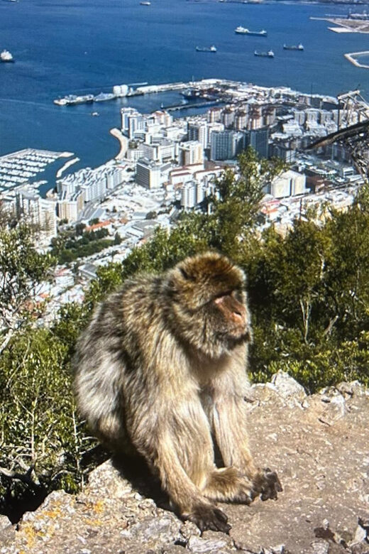 from La Cala/Marbella/Estepona: VIP Gibraltar tour with monkey rock + shopping - A Closer Look at the Tour Itinerary