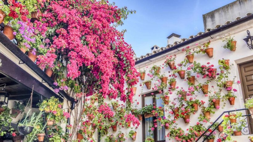 From la Costa del Sol: One Day in Córdoba + Mezquita - FAQ