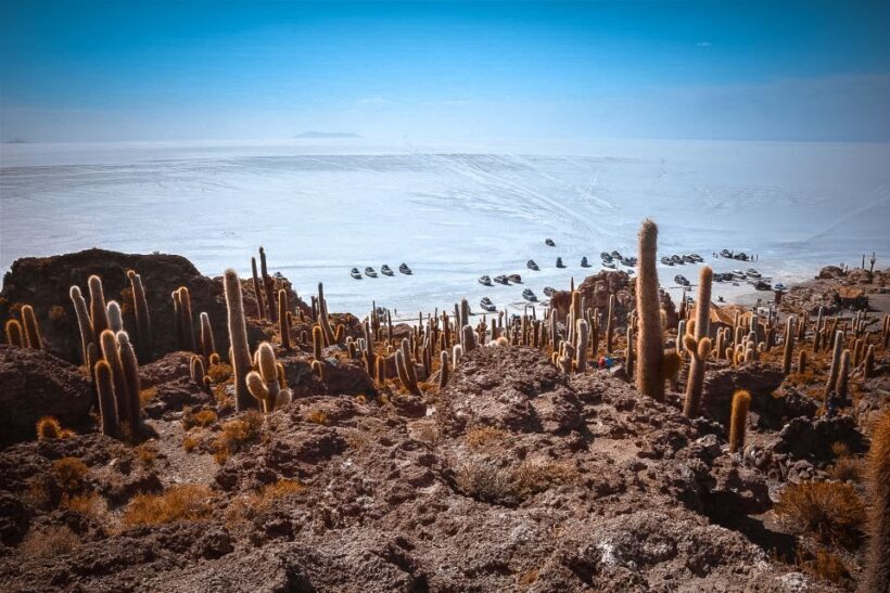 From La Paz: 4-Day Trip to San Pedro de Atacama w/Salt Flats - The Sum Up: Who Will Love This Tour?