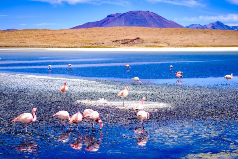 From La Paz: 4-Day Trip to San Pedro de Atacama w/Salt Flats - FAQ