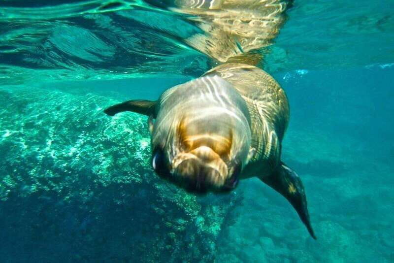 From La Paz: Espiritu Santo Island Adventure - An Overview of the Experience