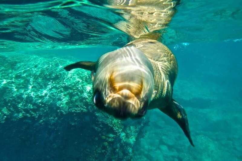 From La Paz: Espiritu Santo Island Adventure - Who Will Love This Tour?