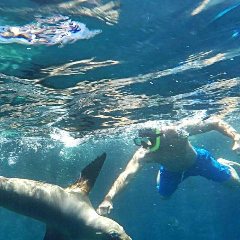 From La Paz: Espíritu Santo Island Tour all inclusive - An In-Depth Look at the Holy Spirit Island Tour