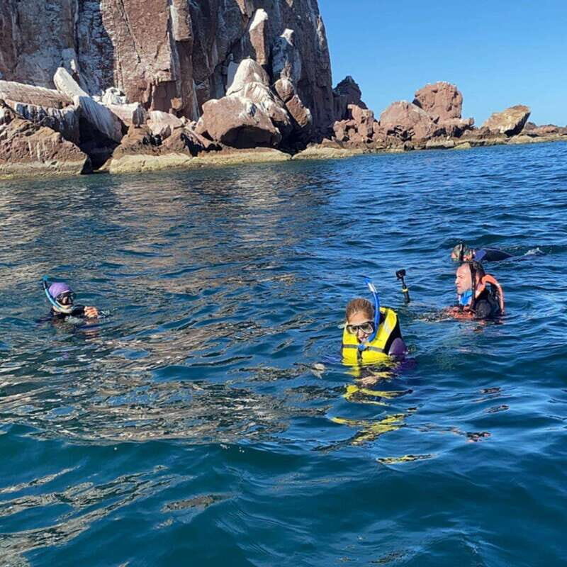 From La Paz: Espíritu Santo Island Tour all inclusive - Authenticity Meets Value