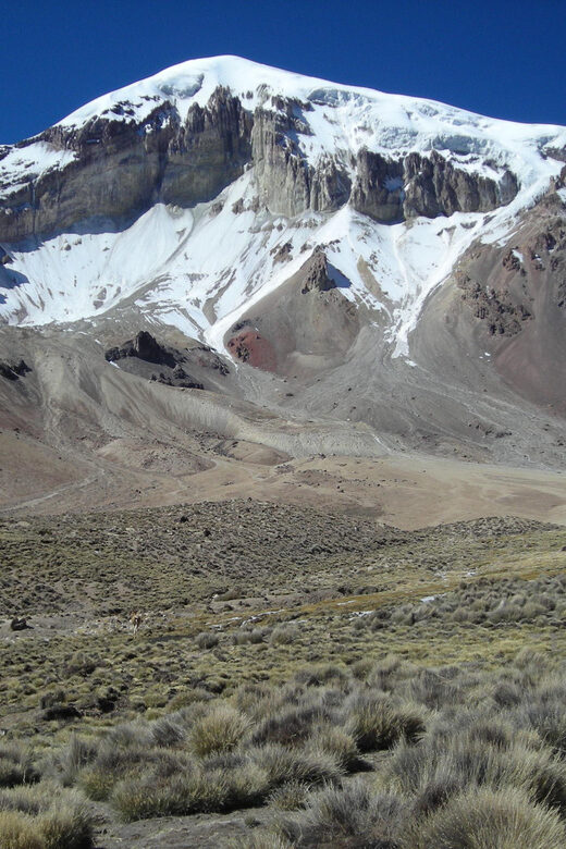 From La Paz: Sajama, Uyuni salt flats, San Pedro de Atacama - Day 1: From La Paz to Sajama National Park