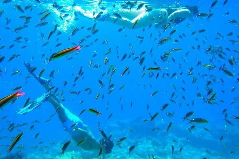 From La Paz: Whale Sharks, Sea Lions & Balandra Beach Combo - FAQ