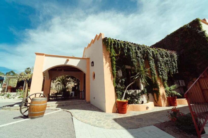 From La Playa: Vineyard Tour w/ Tasting & Todos Santos Stop - Who Will Love This Experience?