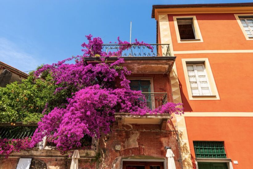 From La Spezia: Highlights of Cinque Terre with A Guide - The Sum Up