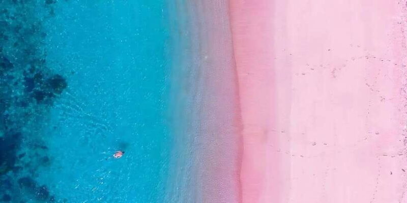 From Labuan Bajo: Day Tour of Komodo Island with Snorkeling - What Makes This Tour Stand Out?