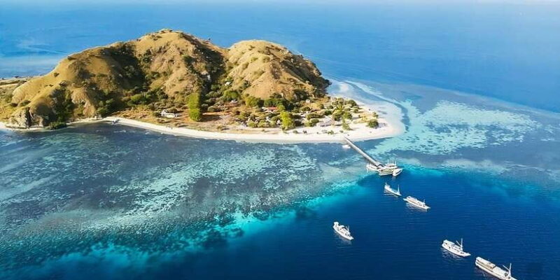 From Labuan Bajo: Day Tour of Komodo Island with Snorkeling - Final Thoughts: Is This Tour for You?