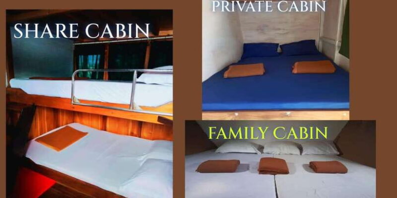 From Labuan Bajo Explore komodo dragon island - In Summary