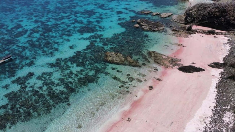 From Labuan Bajo Explore komodo island & Snorkeling - FAQ