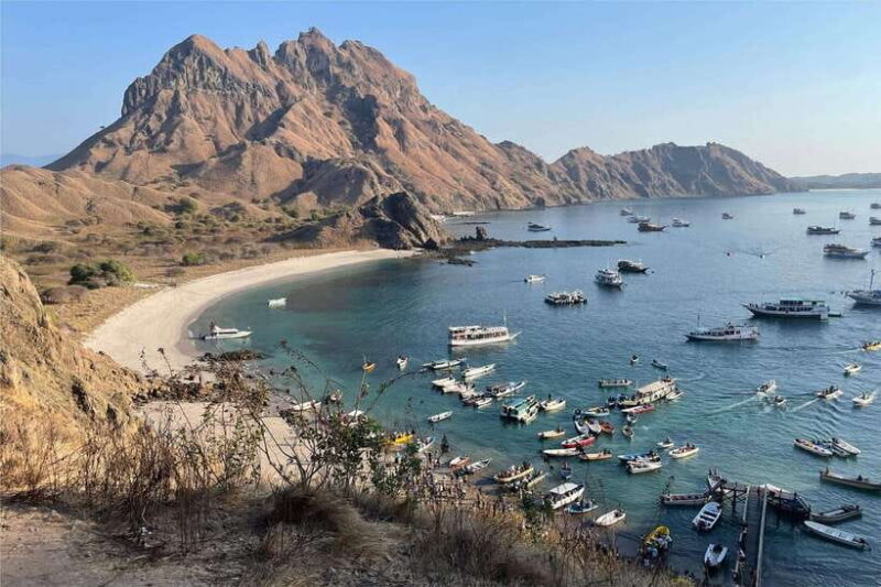 From Labuan Bajo: Komodo Dragons and Island Hop with All Fee - Starting the Day: From Hotel to Harbour