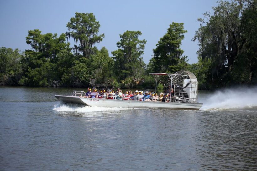 From Lafitte: Swamp Tours South of New Orleans by Airboat - Practical details and value