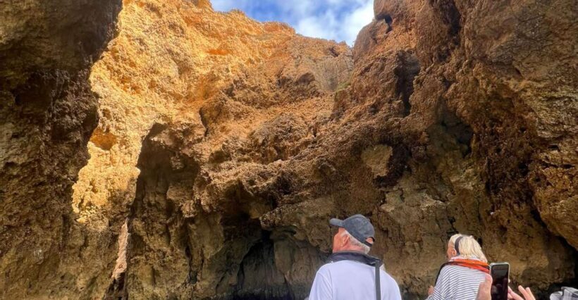From Lagoa: Dolphins & Ponta da Piedade with biologist guide - Final Thoughts